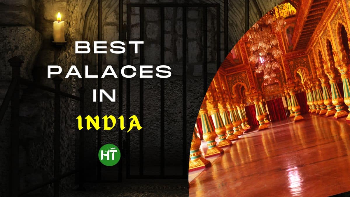 Explore Evergreen Best Palaces in India in 2024 and Beyond
