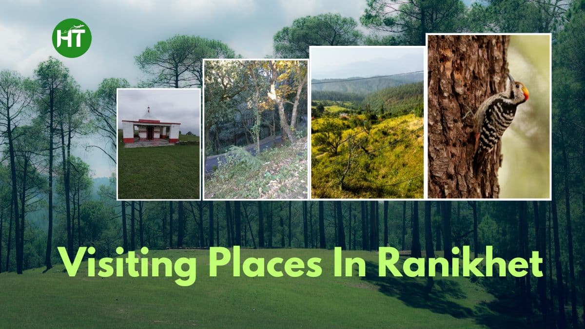11+ Blissful Visiting Places In Ranikhet You Must Explore